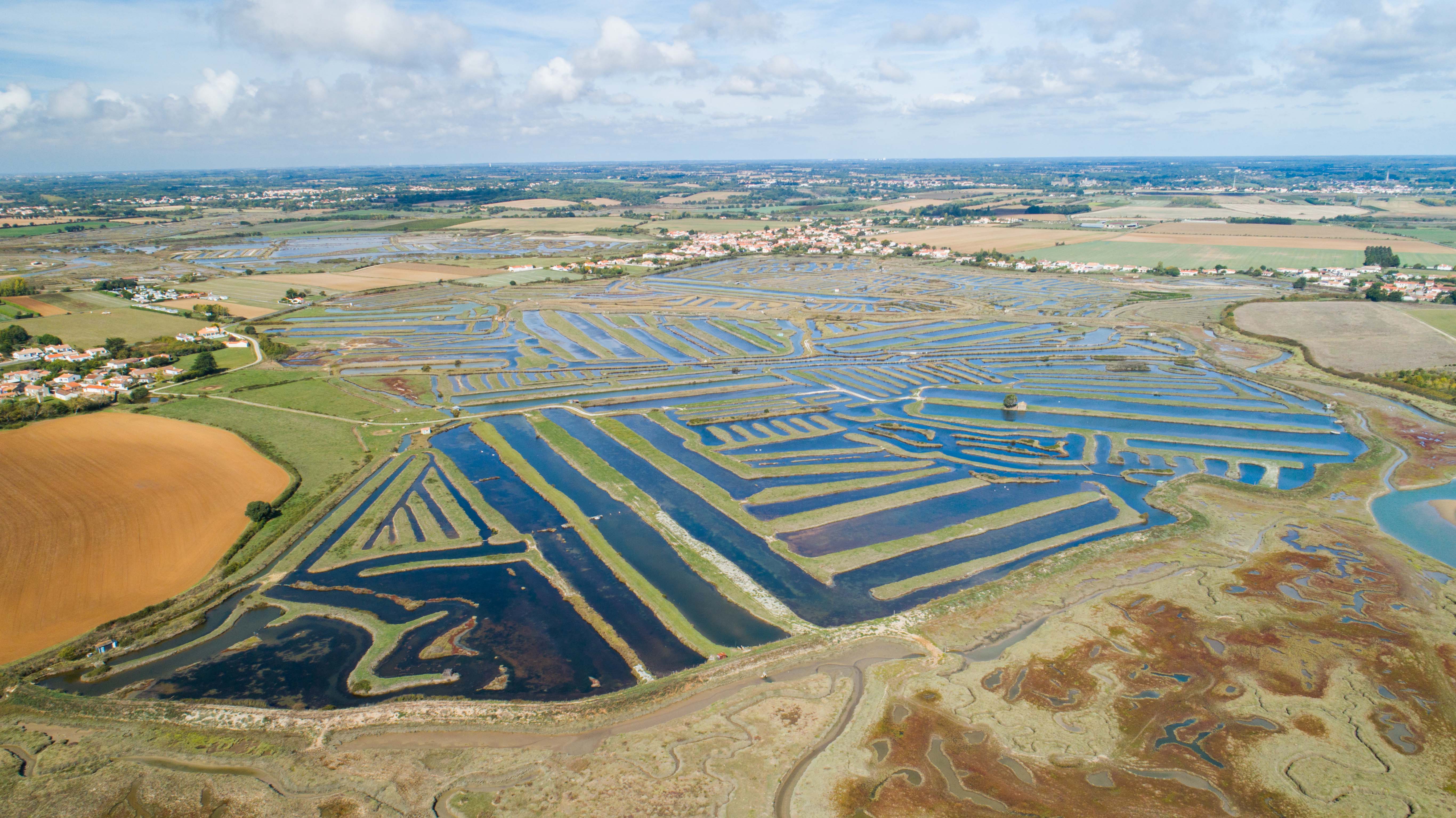 Marais Jard-sur-Mer - ©Horizon Vertical - Destination Vendée Grand Littoral