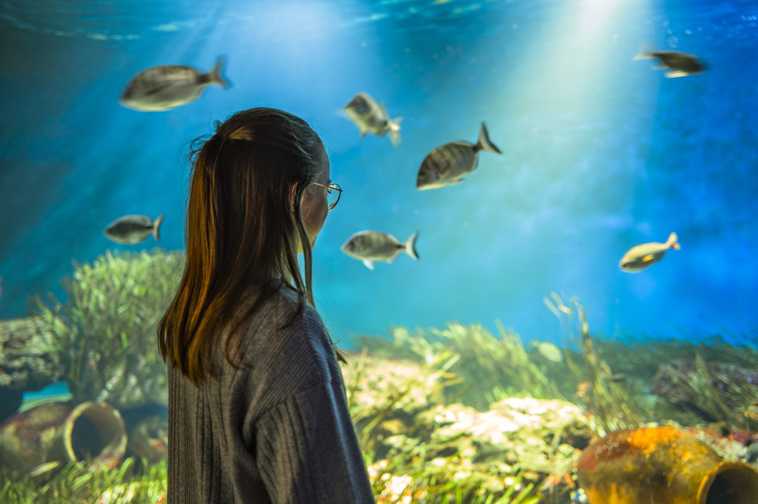 FRANCE - AQUARIUM DE VENDEE - VENDEE EXPANSION - Destination Vendée Grand Littoral